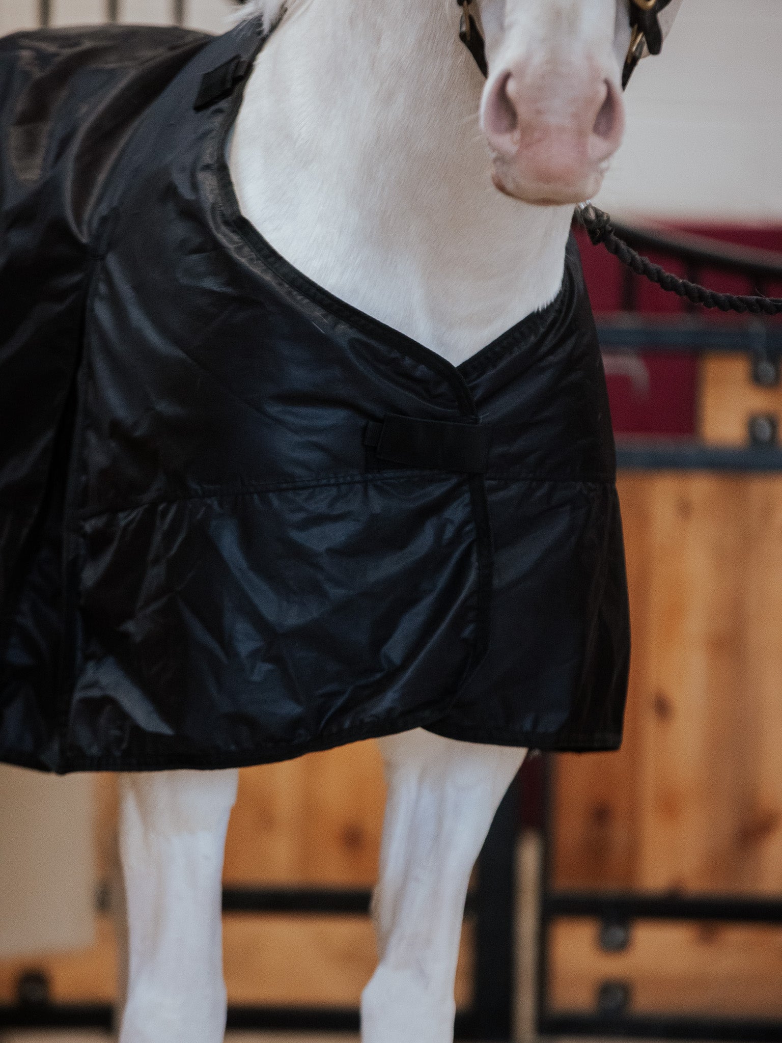 Performance Liner 100 – Cross Section Equestrian